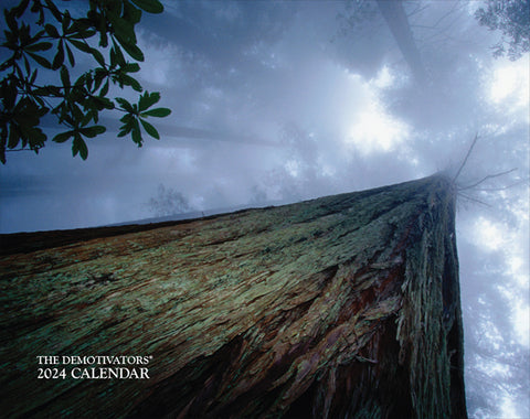 The 2015 Demotivators Wall Calendar - Despair, Inc.