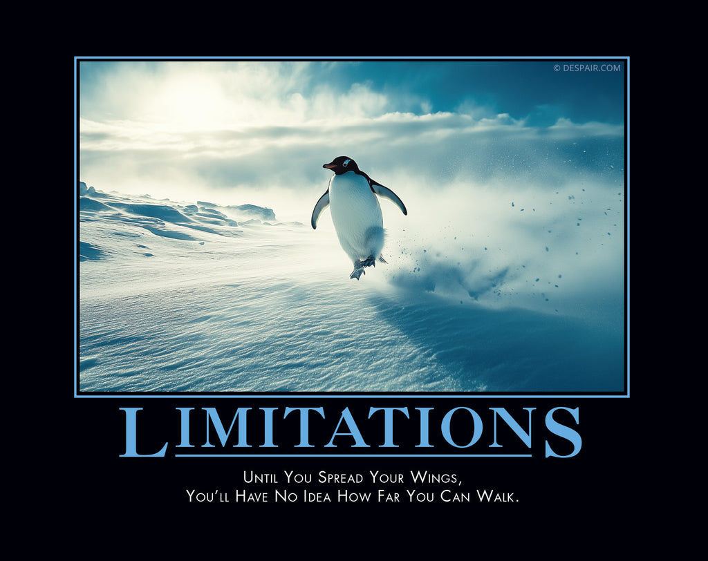 2026 Best of Demotivators® Wall Calendar - Despair, Inc.