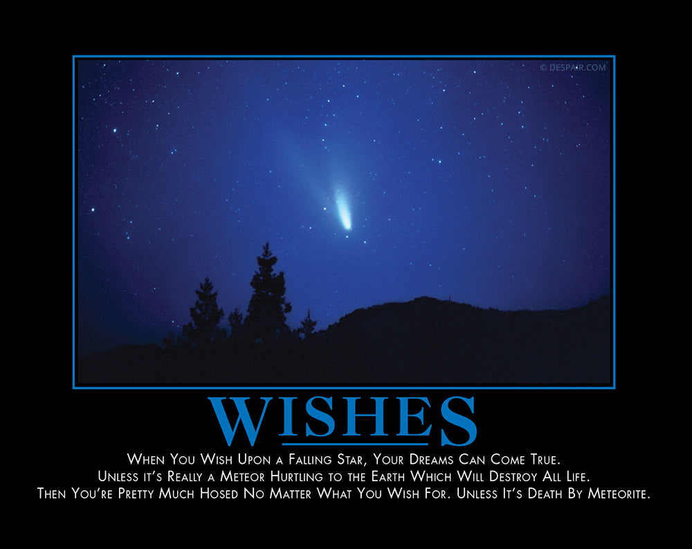 2026 Best of Demotivators® Wall Calendar - Despair, Inc.