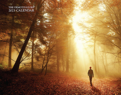 2022 Demotivators® Wall Calendars - Despair, Inc.