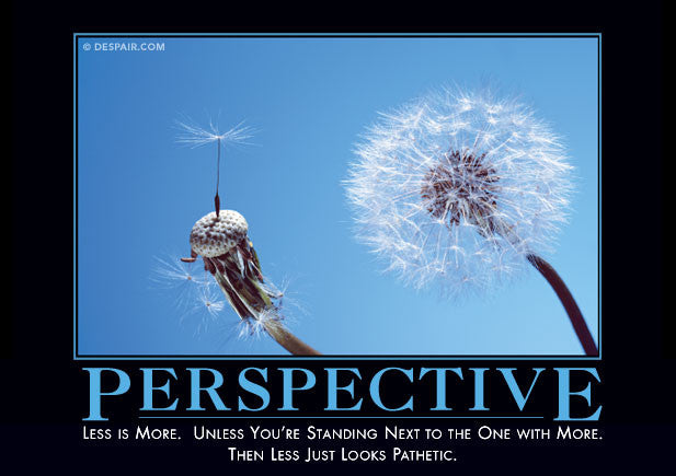 Perspective - Despair, Inc.