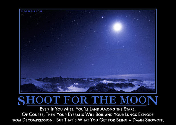 Shoot for the Moon - Despair, Inc.